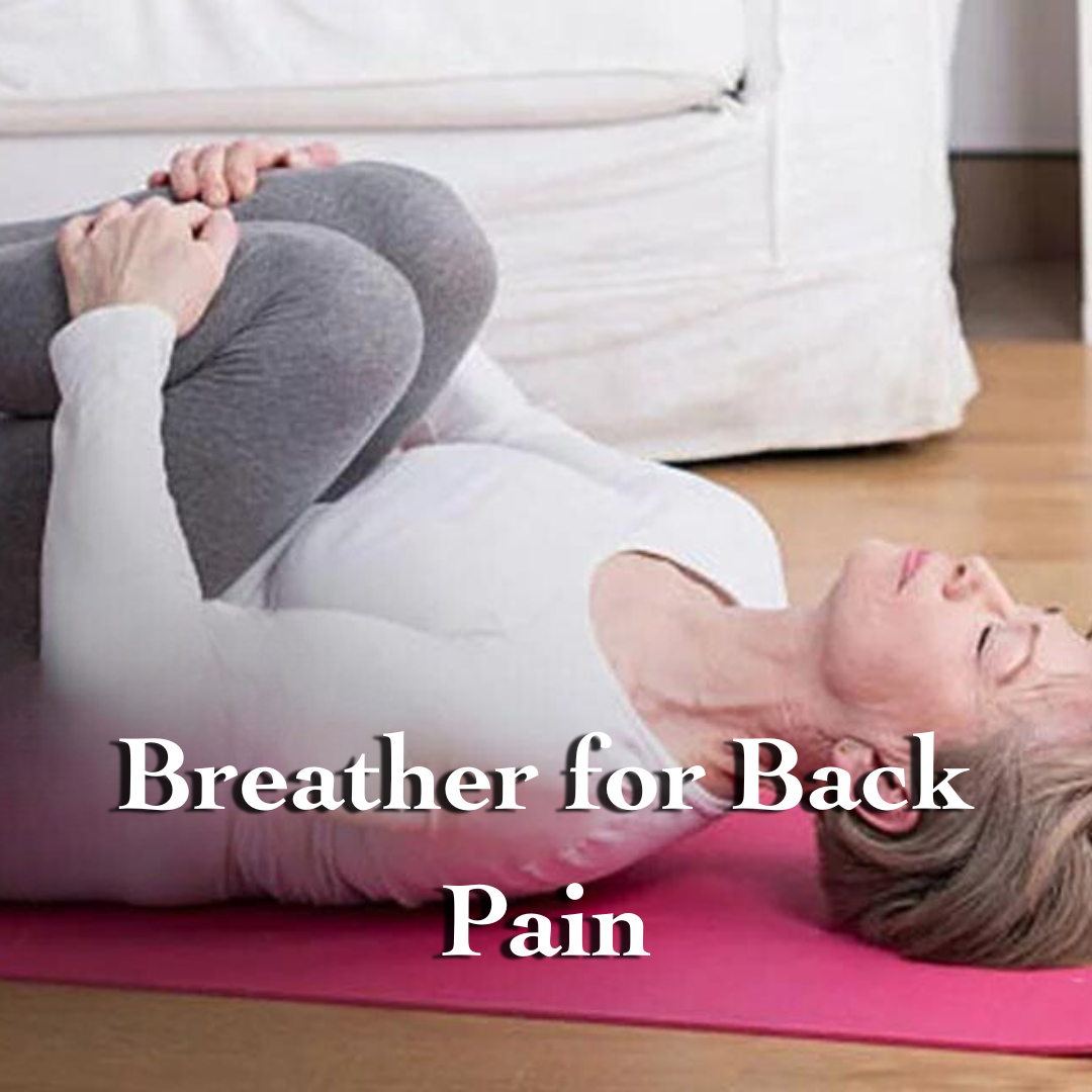 Breather for Back Pain | Bodhi School of Yoga